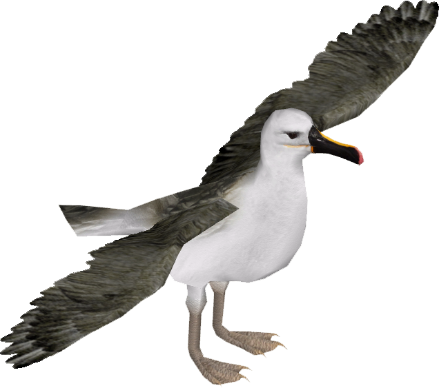 Broad Winged Albatross Free Download PNG Transparent Background ...