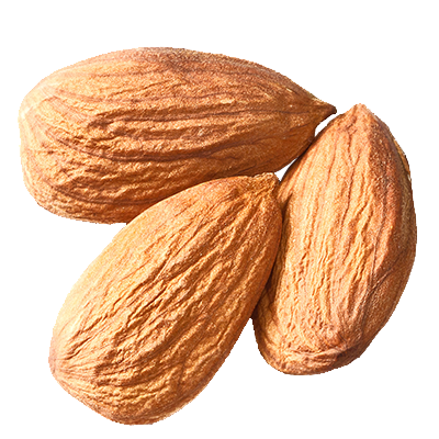 Image Free Image Hd Three Almonds PNG Transparent Background 400x400px ...