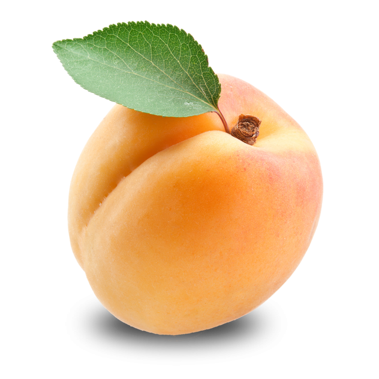 Alone Apricot Leaf Image PNG Transparent Background 744x744px ...