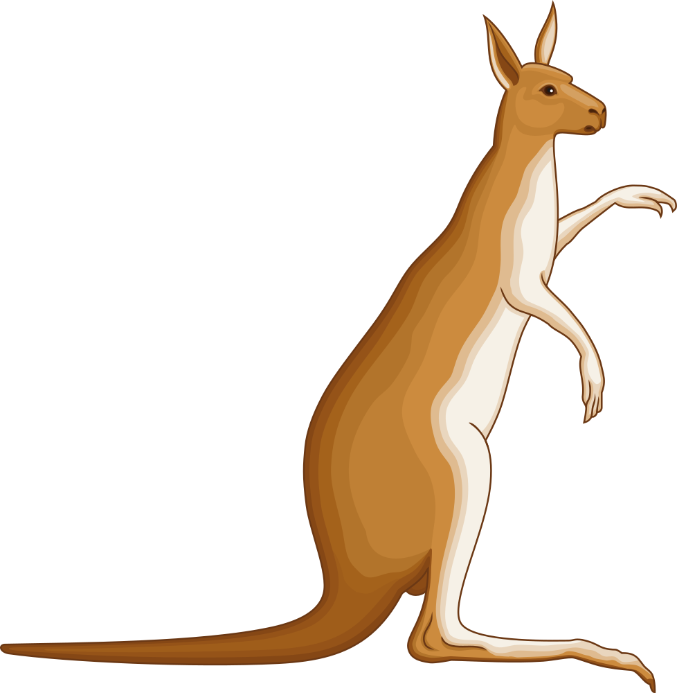 Animal Kangaroo Art Hd PNG Transparent Background 978x1000px - Filesize ...