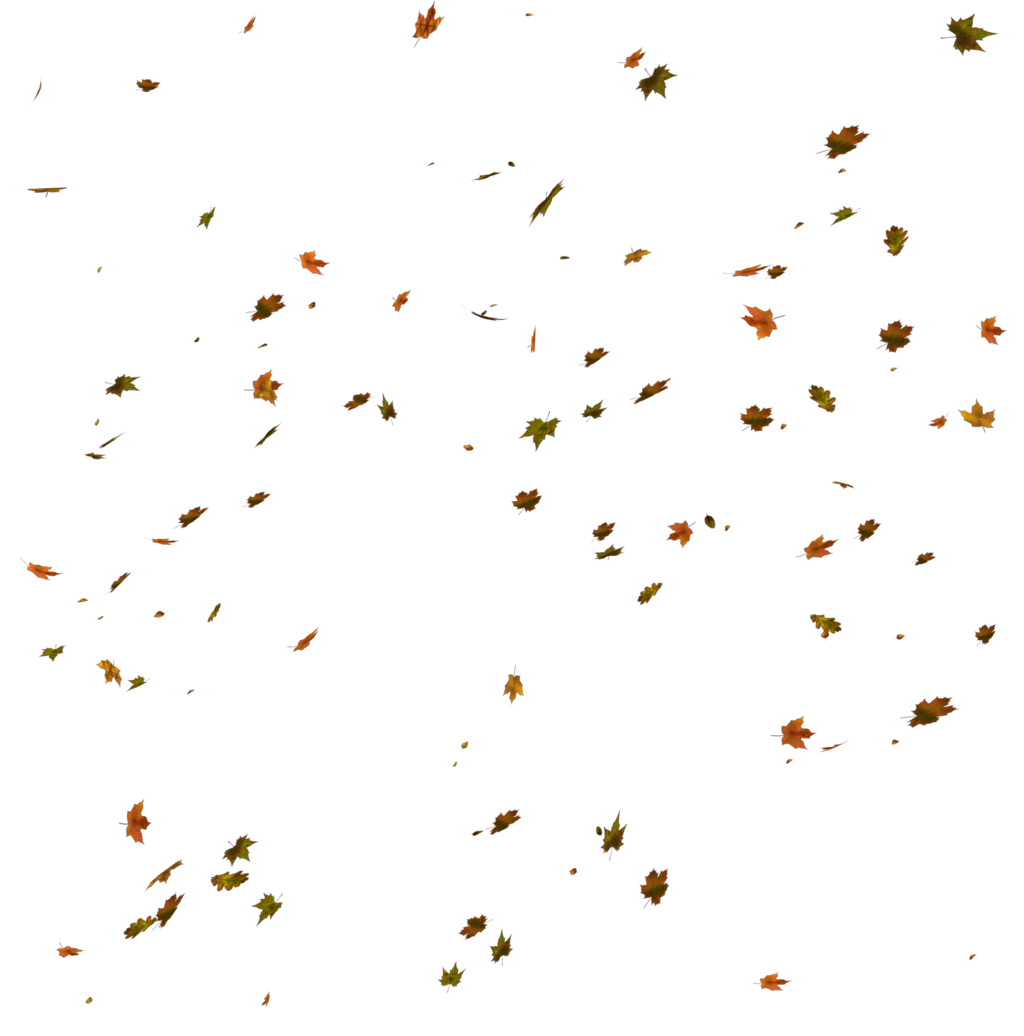 Autumn Leaves PNG Vector Images with Transparent background ...