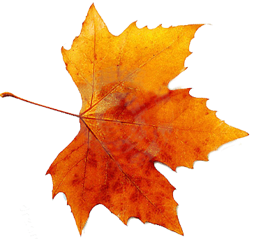 Autumn, Spring, Winter, Seasons, Leaf, Images PNG Transparent ...