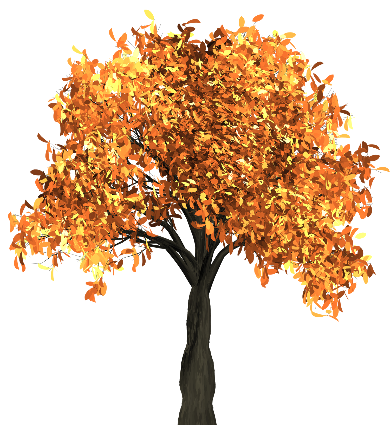 Maple Tree PNG Transparent Background 1500x1635px - Filesize: 2035832kb ...