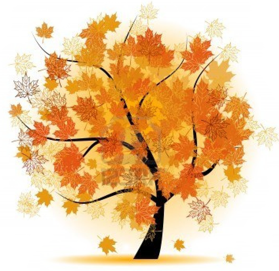 Tree Fall Leaves Images PNG Transparent Background 1062x1029px ...