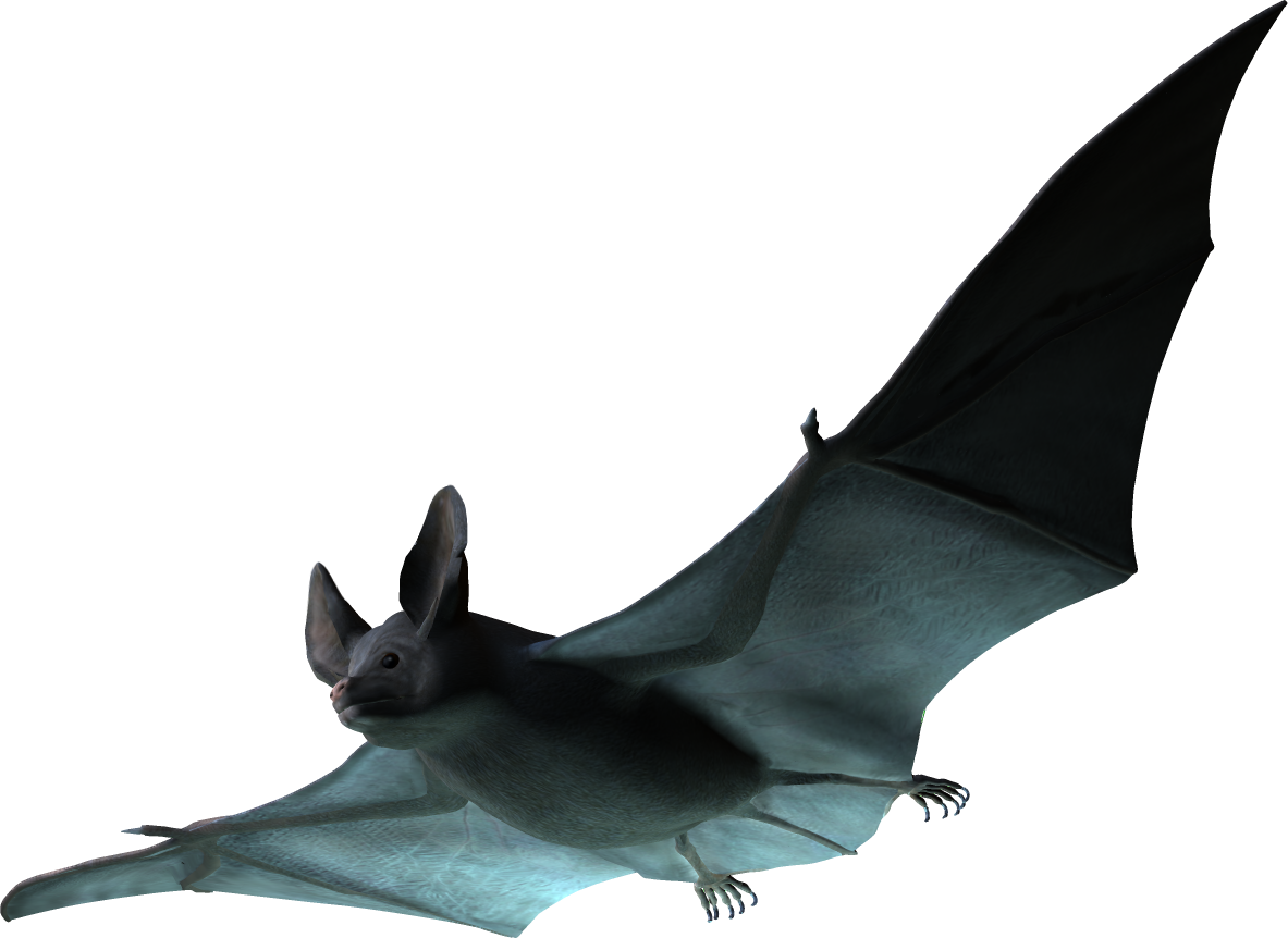 Green Small Bat Free PNG Transparent Background 1183x862px - Filesize ...