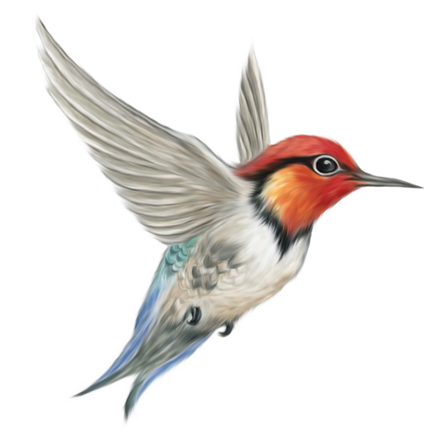 White Flying Bird Illustration , Wings, Flight, Nature PNG Transparent ...