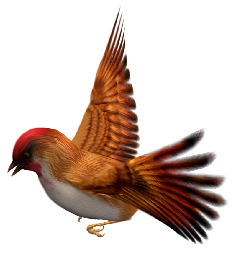 Brown Bird Design, Animal, Beaked, Fly PNG Transparent Background ...