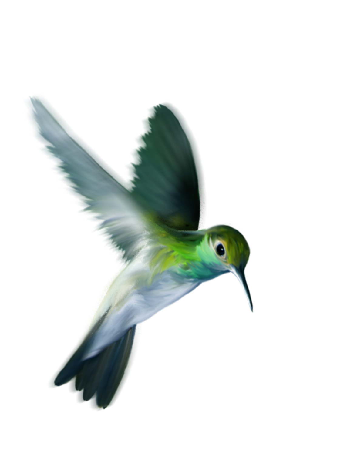 Green Flying Bird Cartoon Clipart, Wing, Beaked, Feather PNG ...