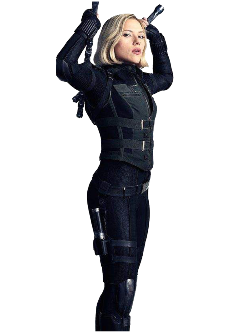 Black Widow Icon Clipart PNG Transparent Background 751x1063px ...