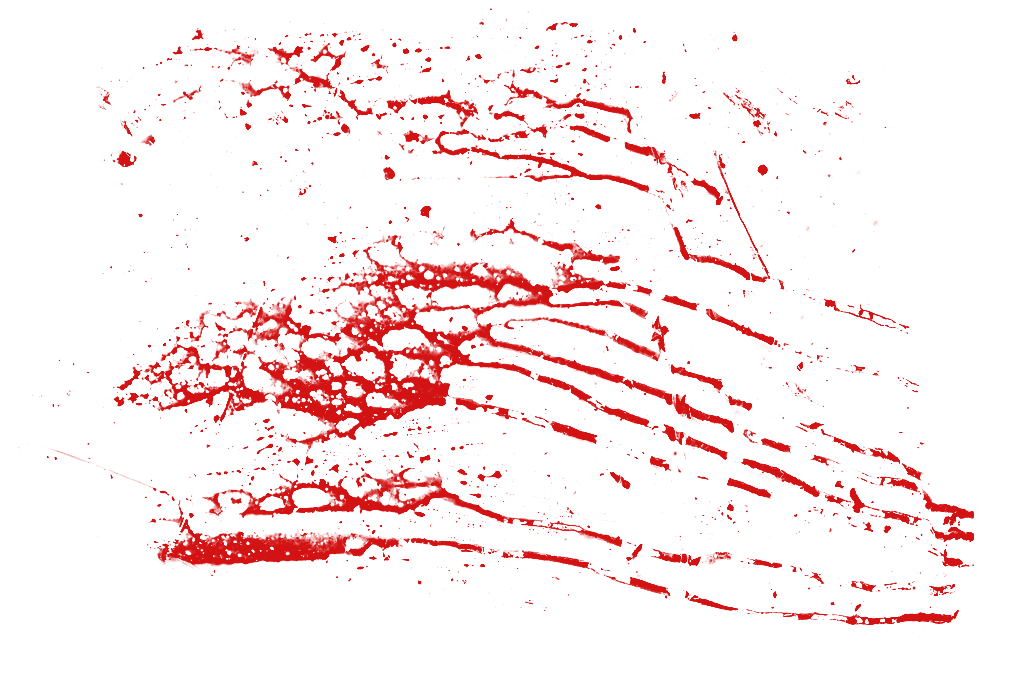 Blood Splatter Image Cut Out PNG Transparent Background 1024x690px ...