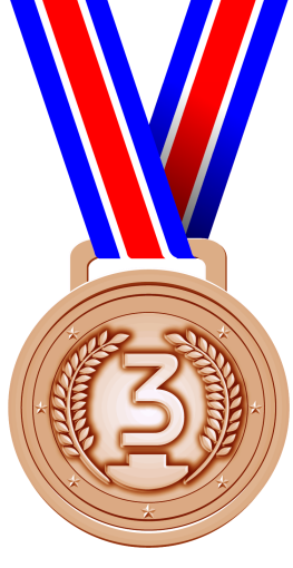 Ni, Si, And Self Delusion Bronze Medal PNG Transparent Background ...