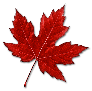 Red Canadian Maple Leaf PNG Transparent Background 357x353px - Filesize ...