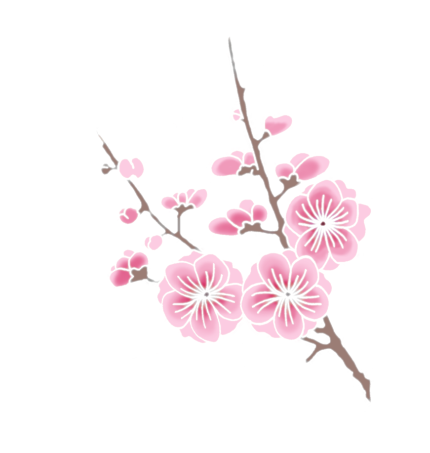 Cherry Blossom Cut Out PNG Transparent Background 871x917px - Filesize ...