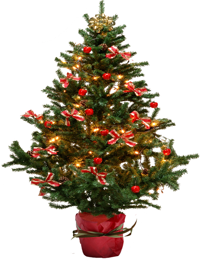 Simple Christmas Tree 20 PNG Transparent Background 671x893px ...