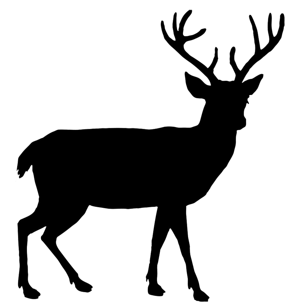 Deer Outline Free Cut Out PNG Transparent Background 1004x1049px ...
