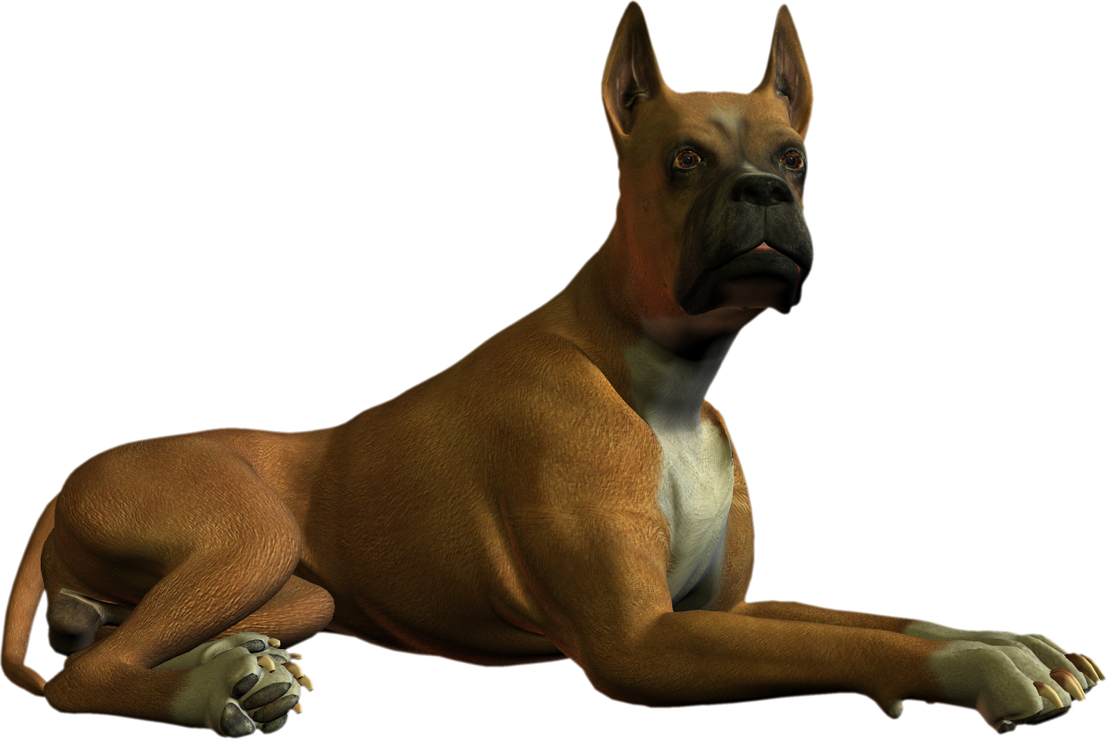 Dog Image PNG Transparent Background 1600x1068px - Filesize: 1231705kb ...