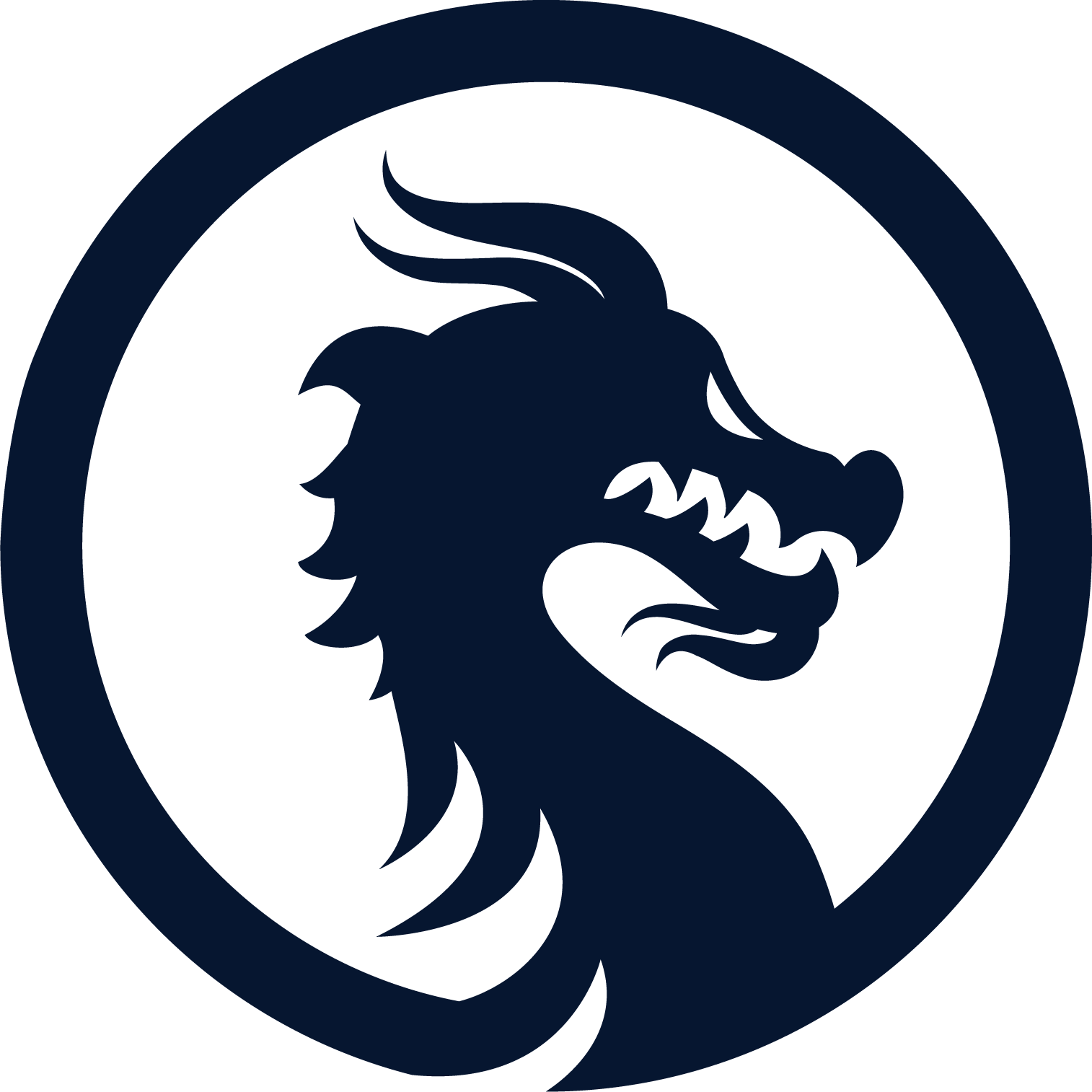 Dragon Logo Symbol PNG Transparent Background 1514x1514px - Filesize ...
