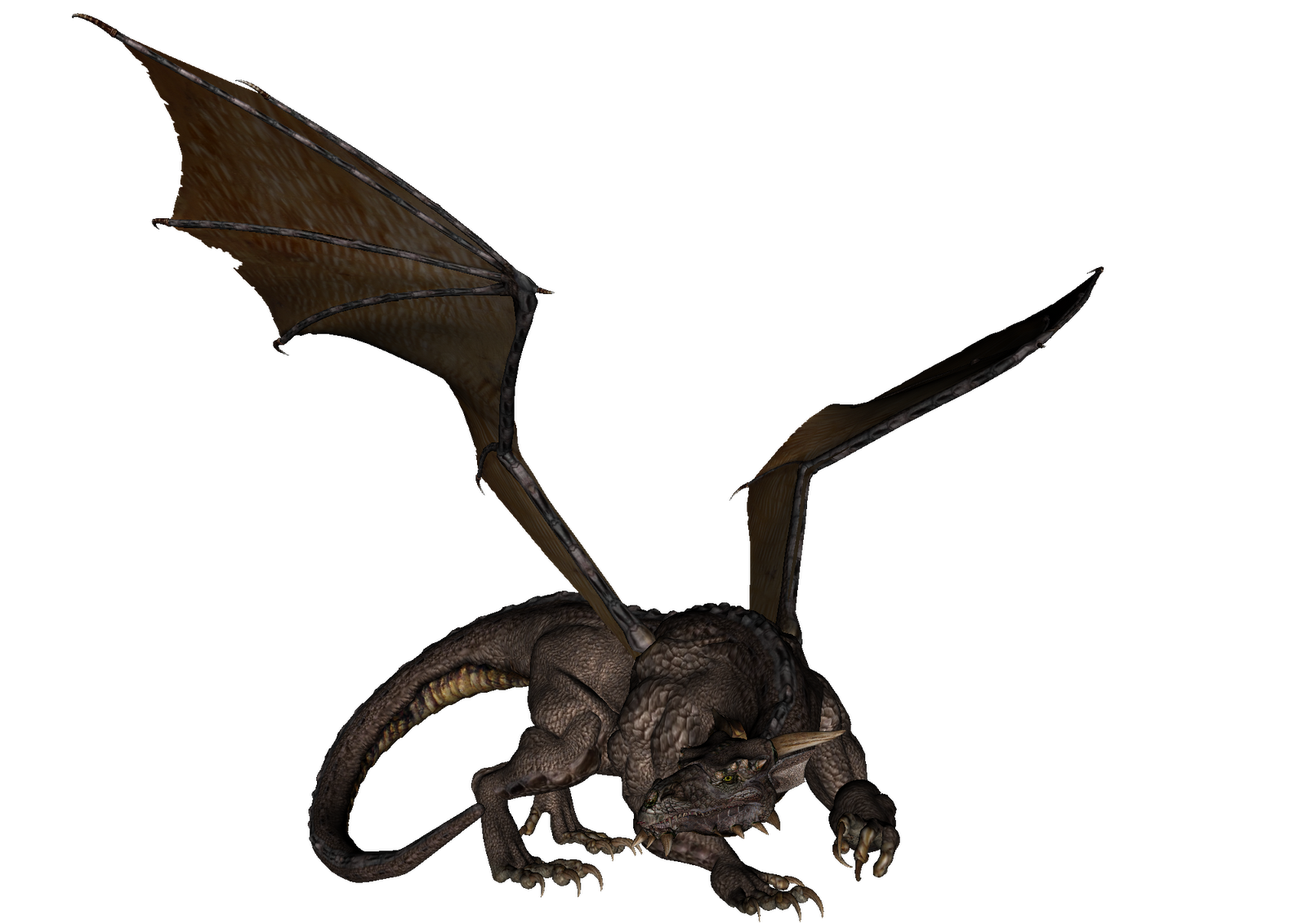 Realistic Dragon Vector PNG Transparent Background 1600x1131px ...