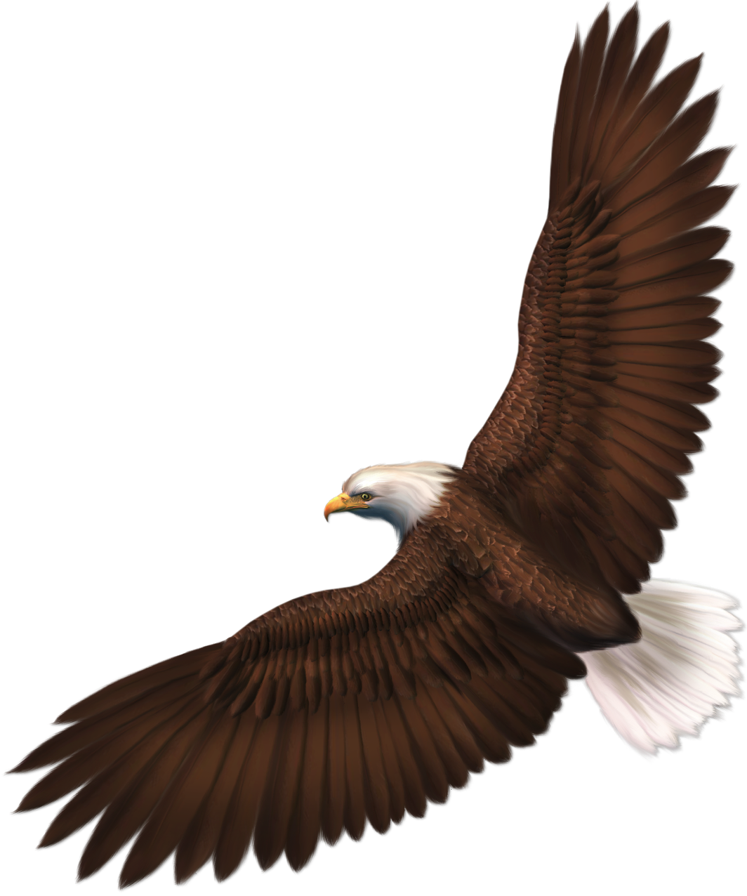 Eagle Image PNG Transparent Background 1064x1276px - Filesize: 915947kb ...