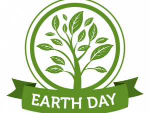 Find High Quality Images PNG Transparent Background 300x225px ...