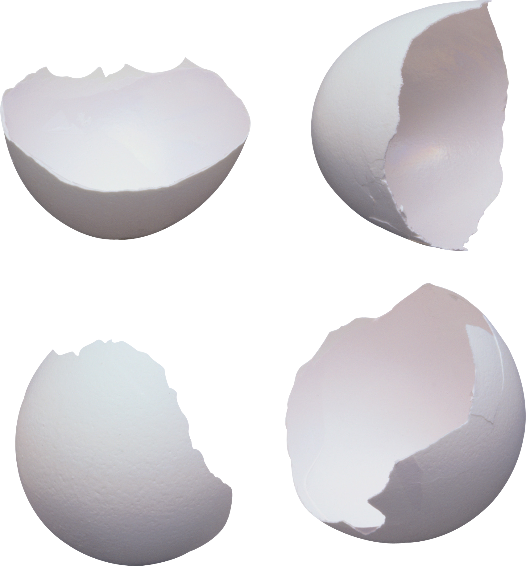 Egg PNG Transparent Background 1705x1837px - Filesize: 1795088kb ...