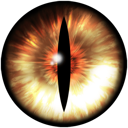 Eye Brown PNG Transparent Background 450x450px - Filesize: 244234kb ...