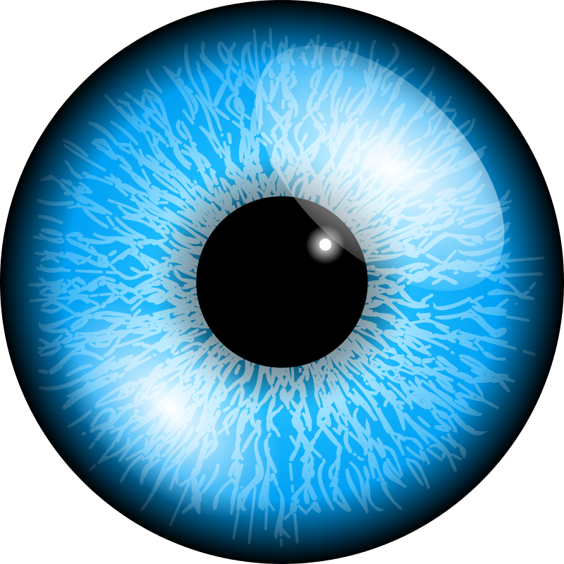 Eye, Blue, Circle, Black PNG Transparent Background 800x800px ...