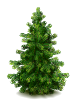 Fir Tree Free PNG Transparent Background 302x422px - Filesize: 164830kb ...