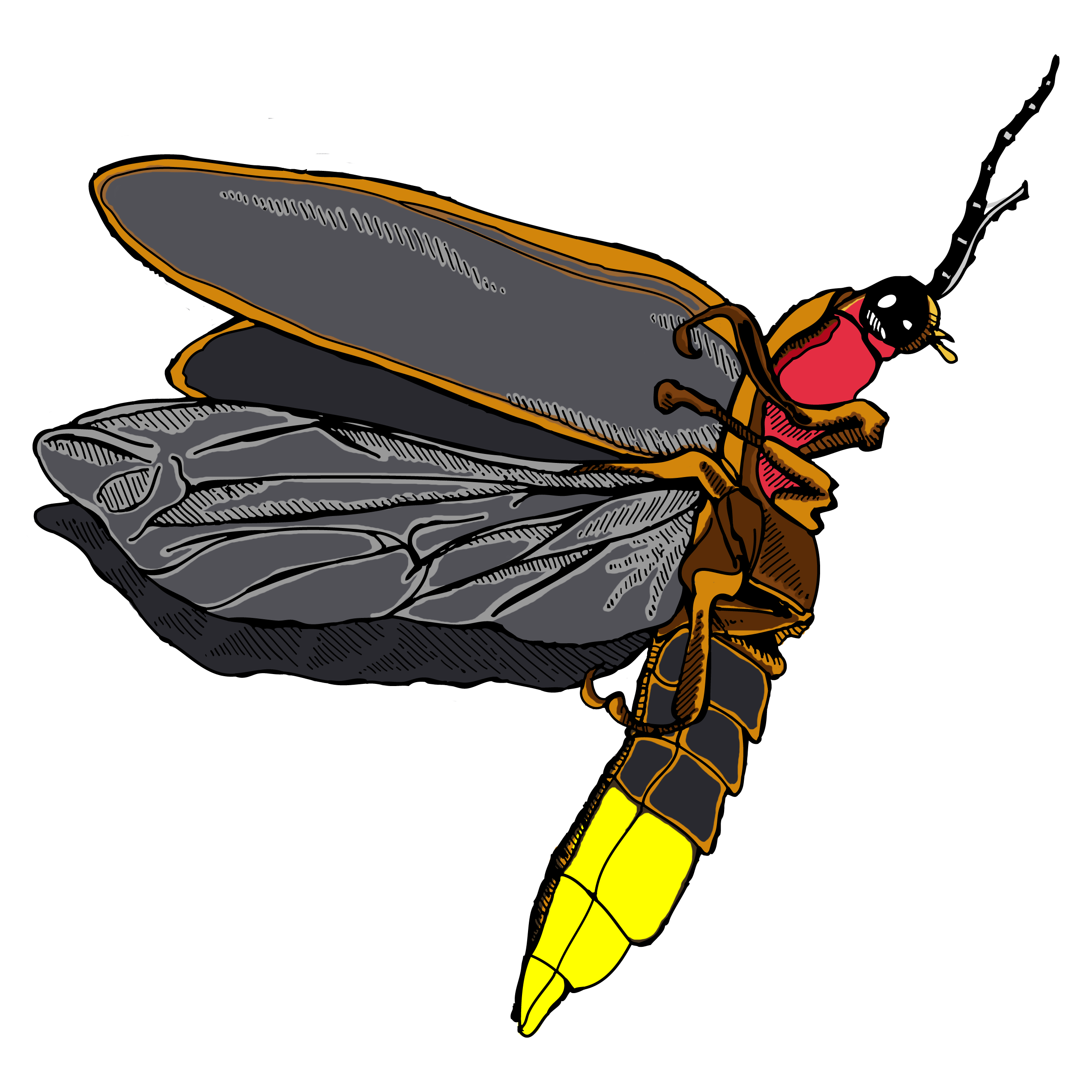 Firefly Icon Clipart PNG Transparent Background 2550x2550px - Filesize ...