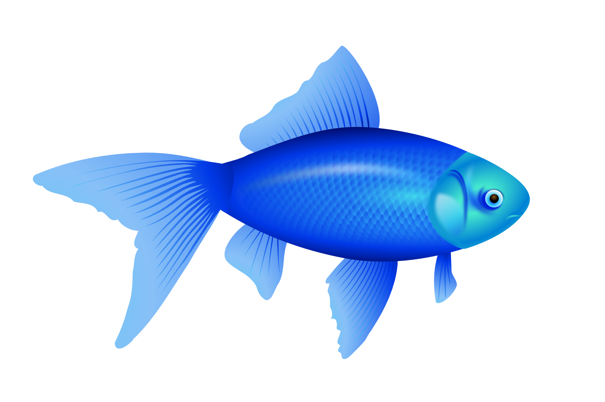 Fish Simple PNG Transparent Background 1969x1307px - Filesize: 530466kb ...