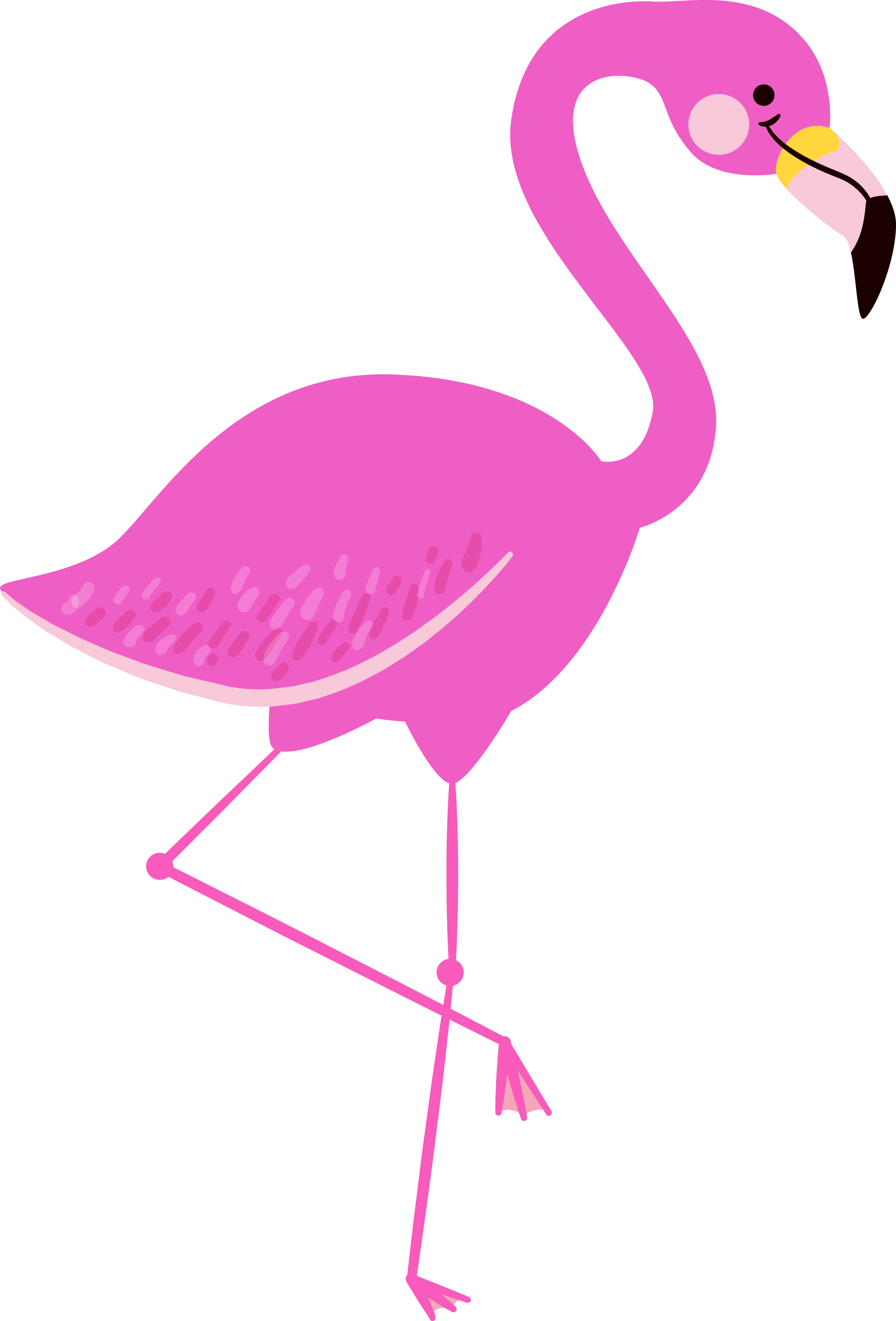 Sweet Flamingo Design With Thin Feet PNG Transparent Background ...