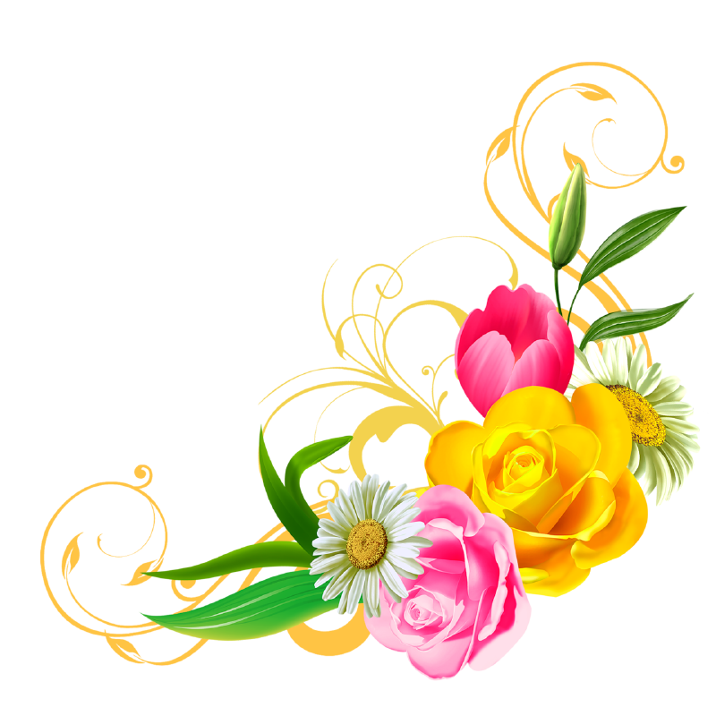 Fancy Colorful Floral Hd PNG Transparent Background 800x800px ...