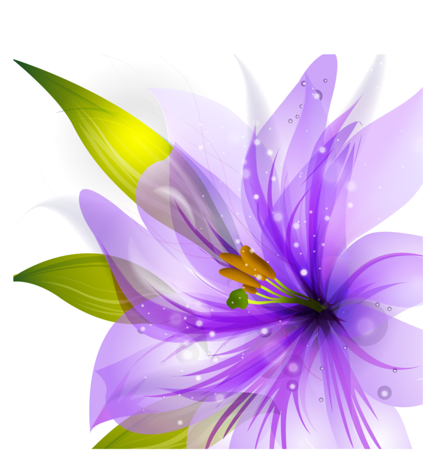 Flower Purple Vector Hq PNG Transparent Background 866x923px - Filesize ...