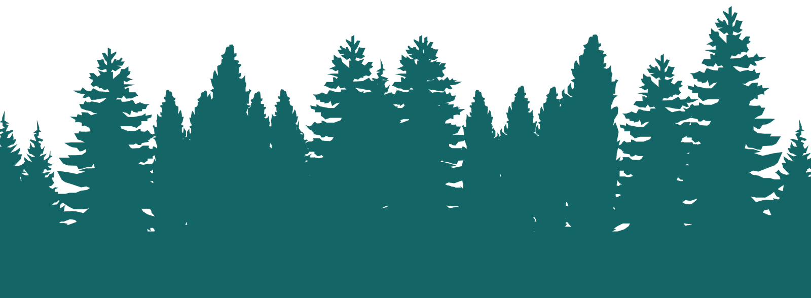 Forest Hd Image PNG Transparent Background 1600x588px - Filesize ...