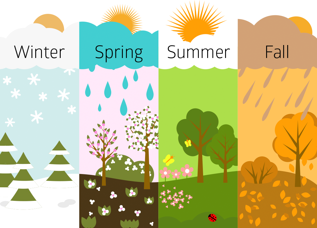 Rain, Snow, Tree, Leaf, Pine, Tree, Sunny, Images PNG Transparent ...