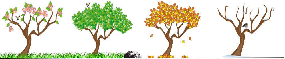 Saisons Four Seasons Trees Pictures PNG Transparent Background ...