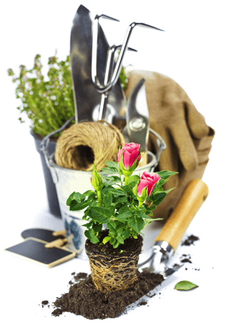 Garden Tools Hd PNG Transparent Background 328x470px - Filesize ...