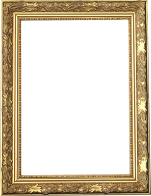 Square Gold Picture Frame Hd PNG Transparent Background 308x400px ...