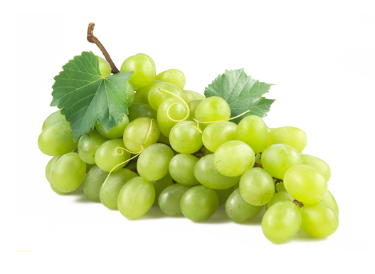 Grape Cut Out Photo PNG Transparent Background 527x385px - Filesize ...