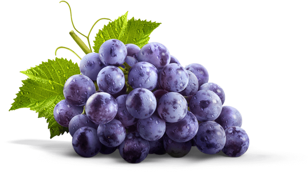 Beautiful Purple Grape Image PNG Transparent Background 1000x567px ...