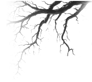 Horror Picture 8 PNG Transparent Background 295x263px - Filesize ...