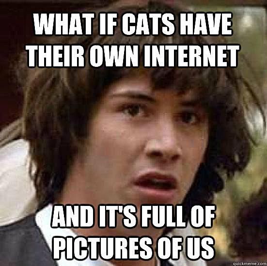 Internet Meme 4 PNG Transparent Background 551x549px - Filesize ...