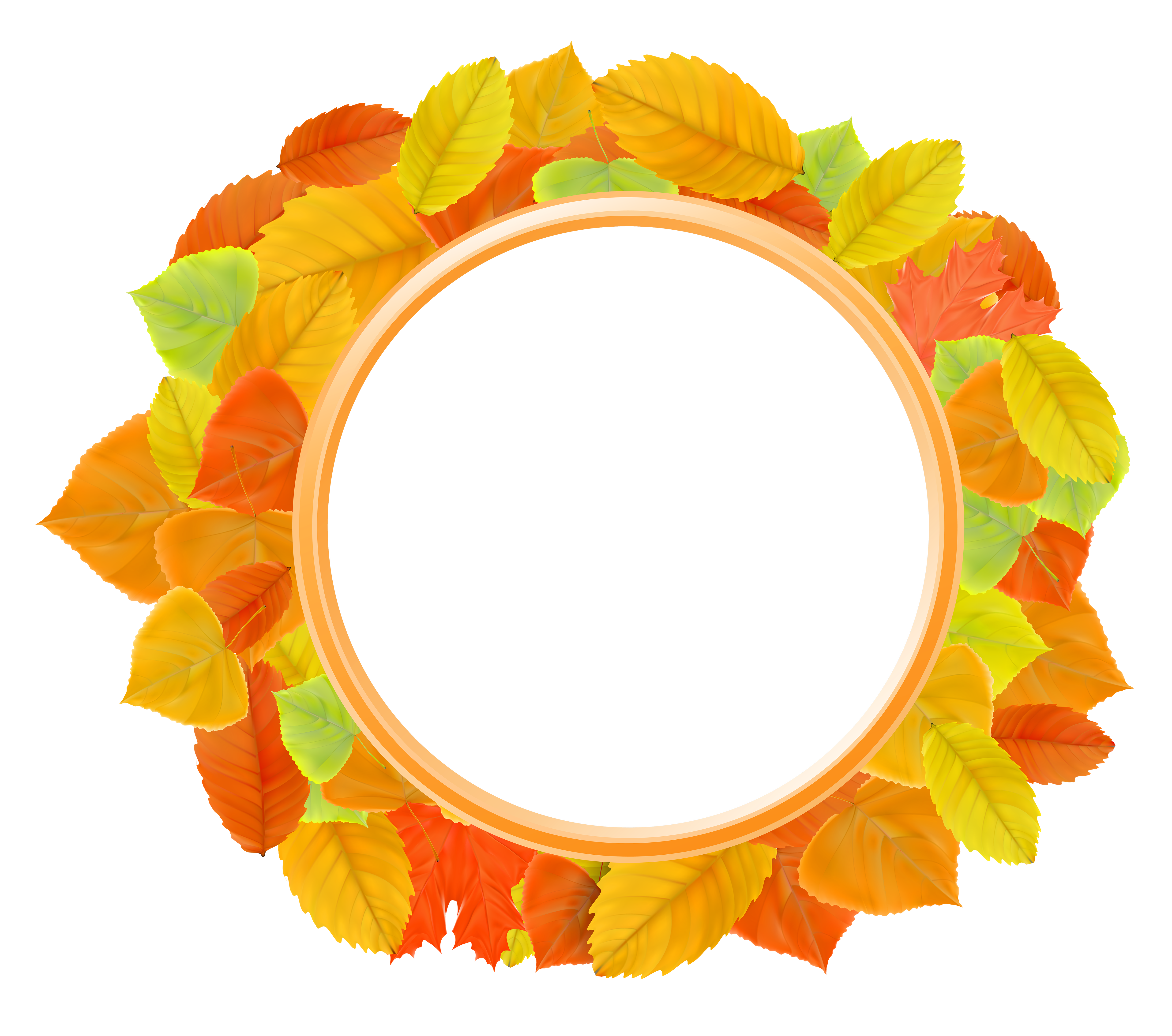 Leaf Frame Vector PNG Transparent Background 5000x4421px - Filesize ...