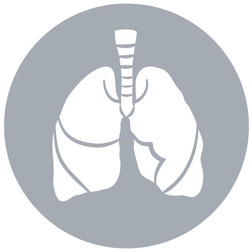 Images Lung Icon PNG Transparent Background 520x520px - Filesize ...