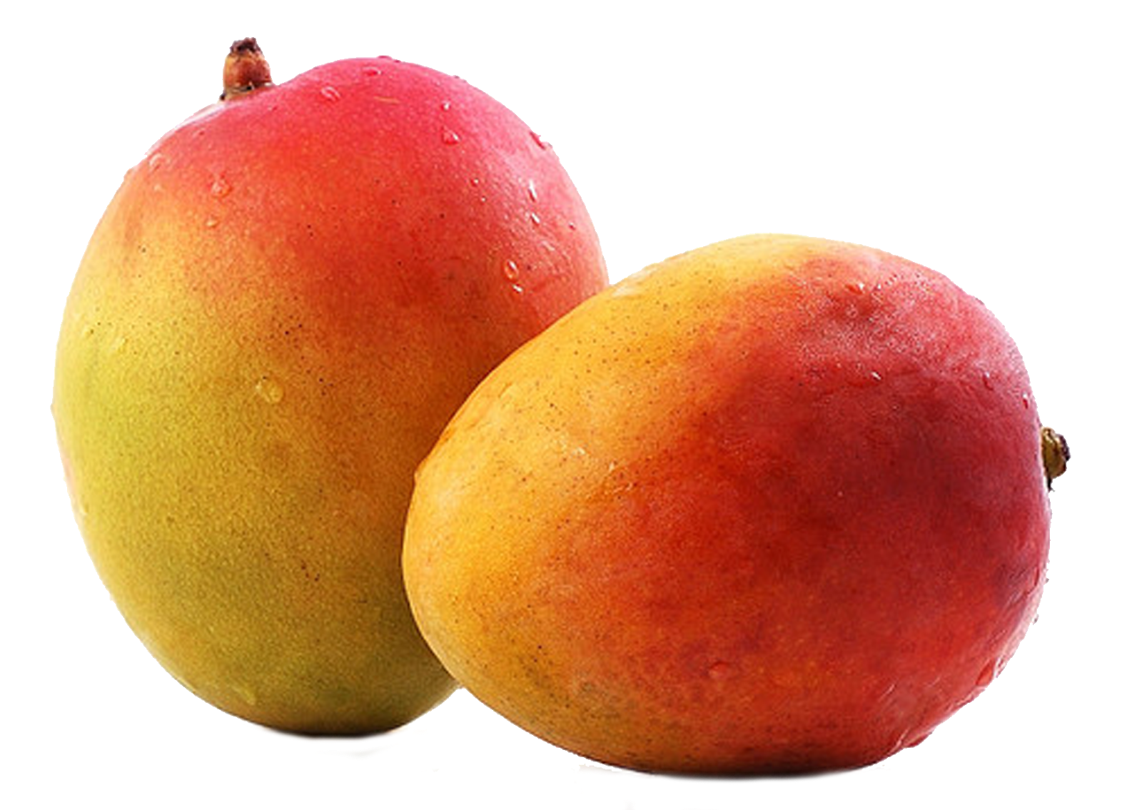 Mango Amazing Image Download PNG Transparent Background 1600x1135px ...