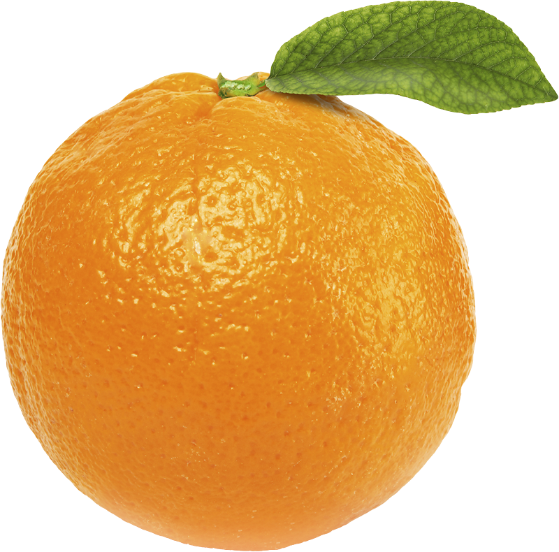 Best Real Orange Free PNG Transparent Background 800x790px - Filesize ...