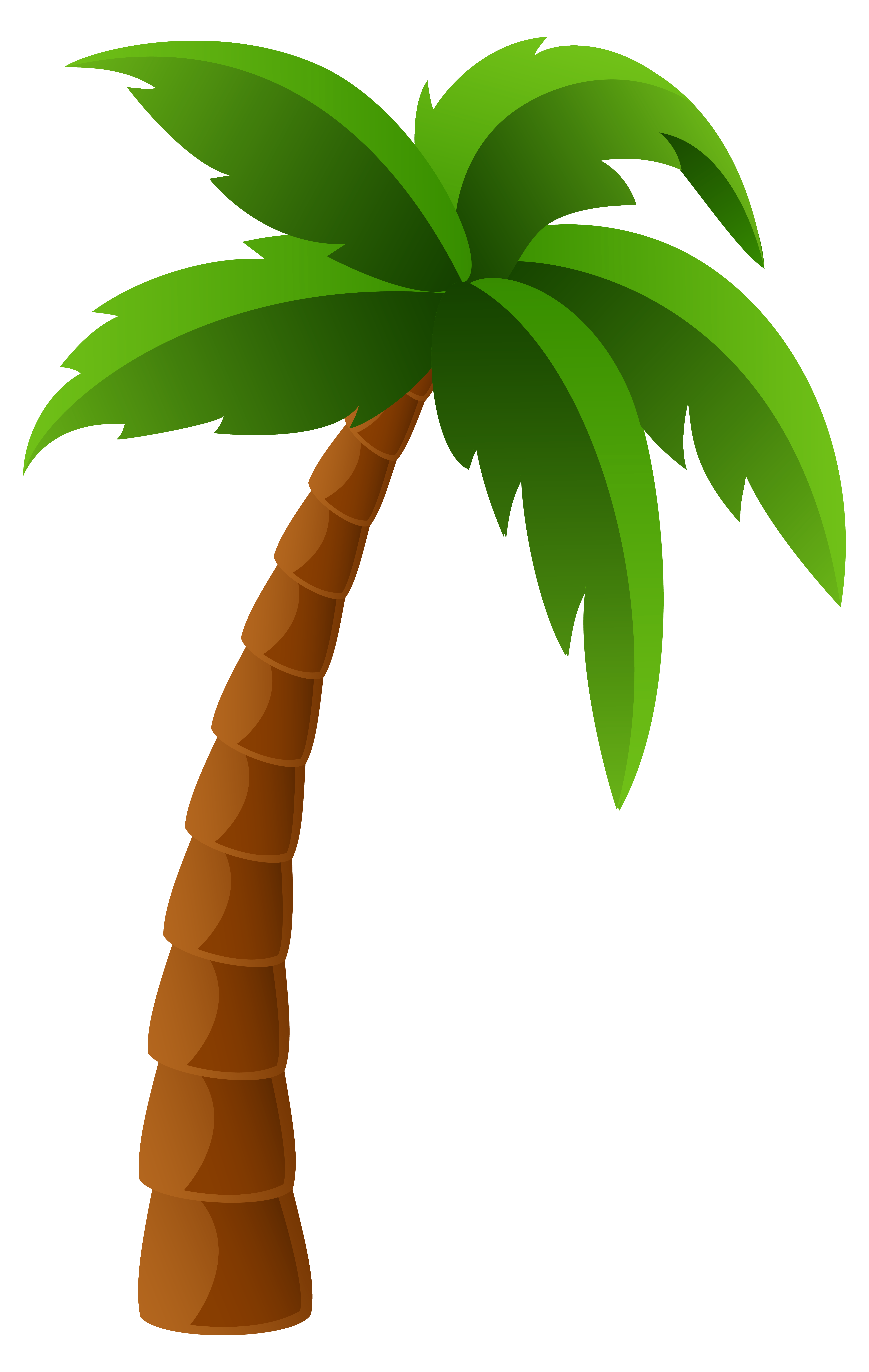 Palm Tree Free 14 PNG Transparent Background 6139x9697px - Filesize ...