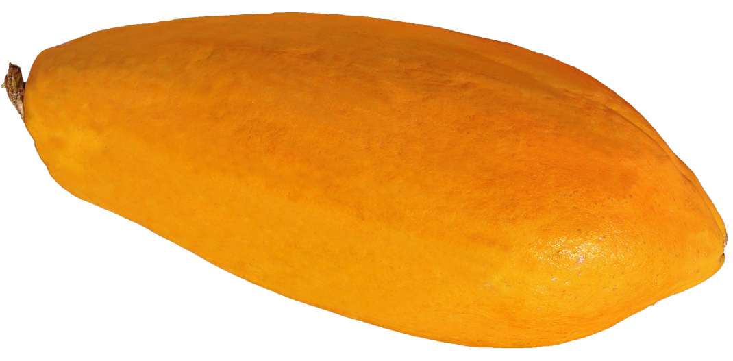 Single Papaya PNG Transparent Background 1070x527px - Filesize ...