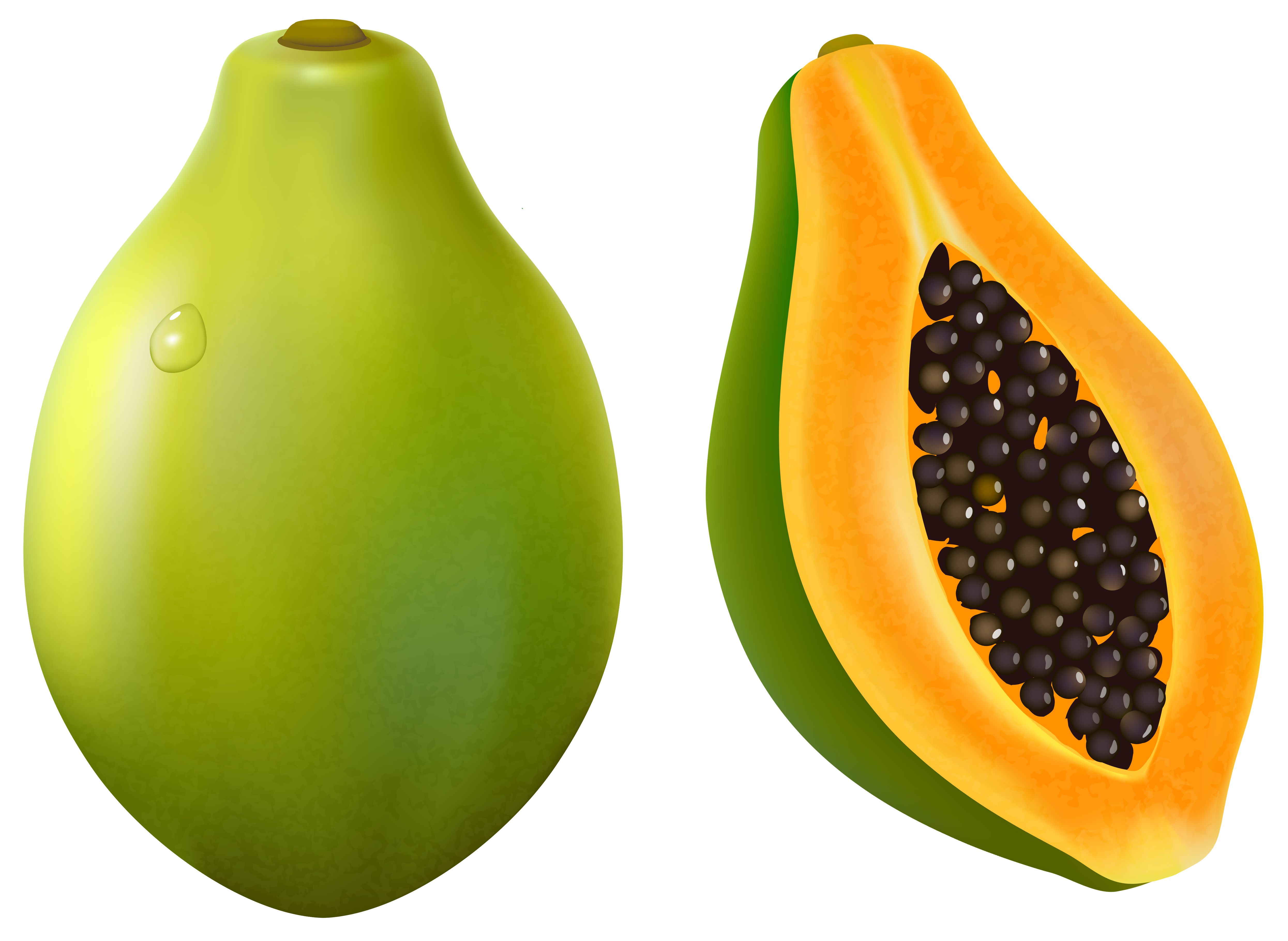 Green Papaya Slices Image PNG Transparent Background 4981x3641px ...
