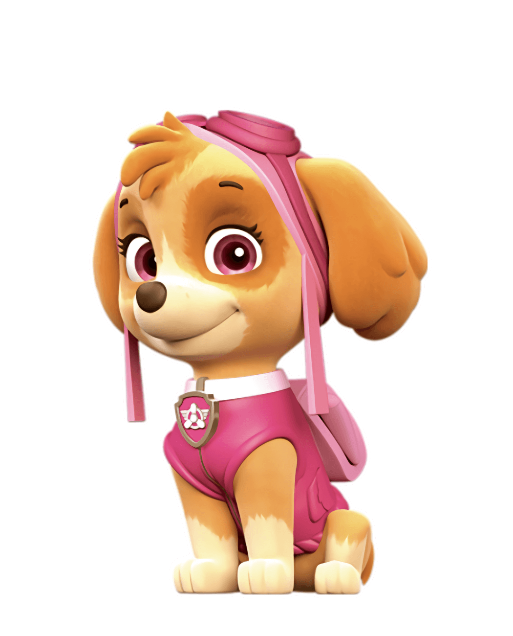 Paw Patrol Icon PNG Transparent Background 1050x1300px - Filesize ...